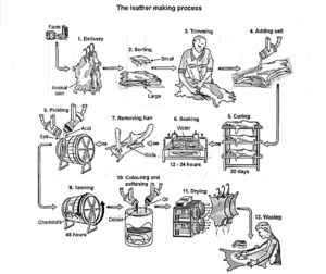 IELTS Writing Task 1 Process: The diagram shows the leather making ...
